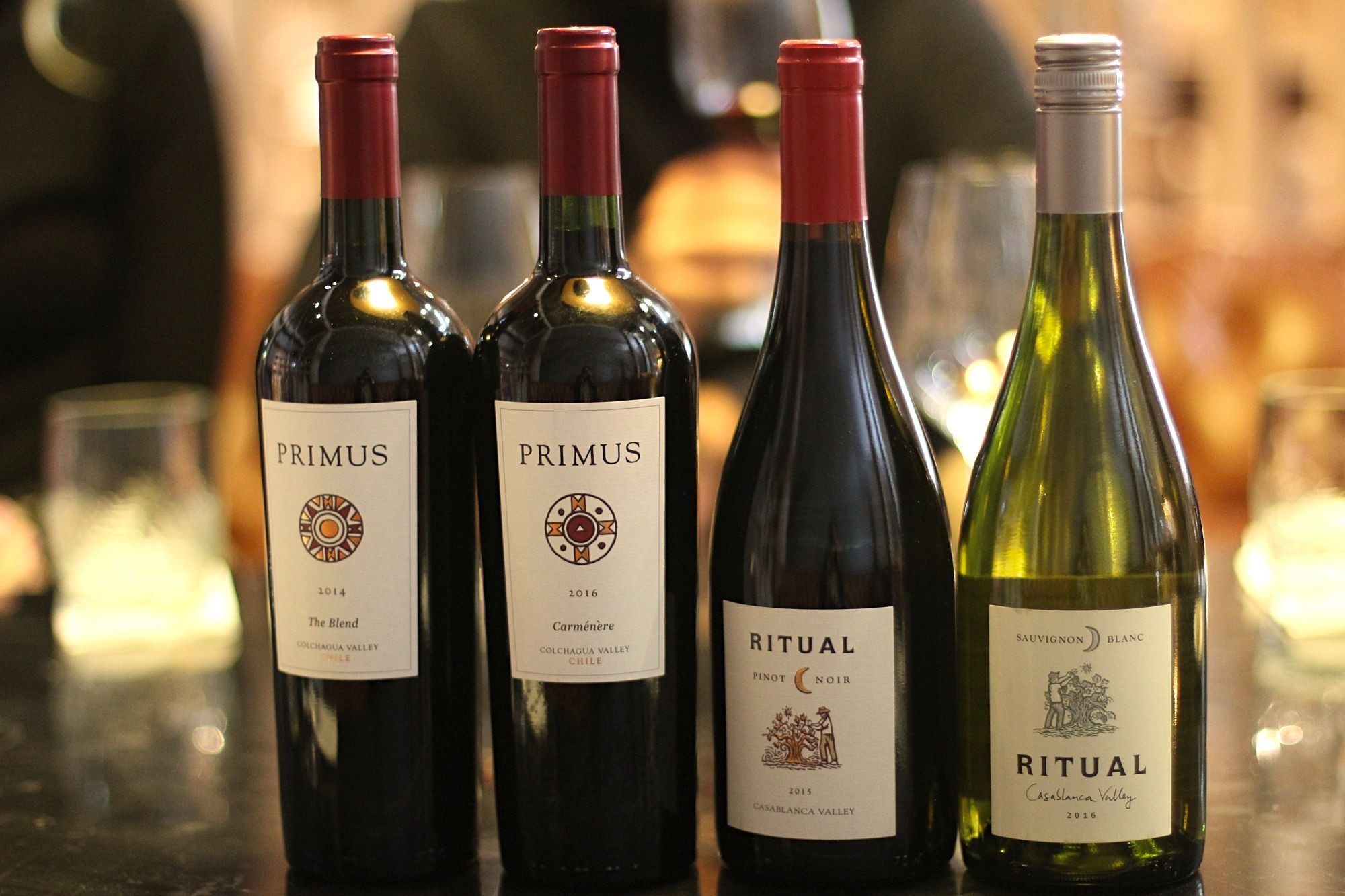 VINÍCOLAS CHILE VALLE DE CASABLANCA: Tour Degustação Vinícola Veramonte ...